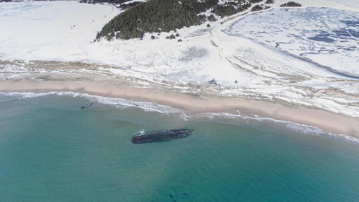 Les résidents de Cape Ray espèrent découvrir l’origine d’une ...