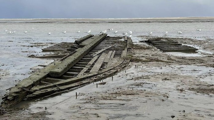 Une épave repérée dans les eaux du lac Érié | Radio-Canada
