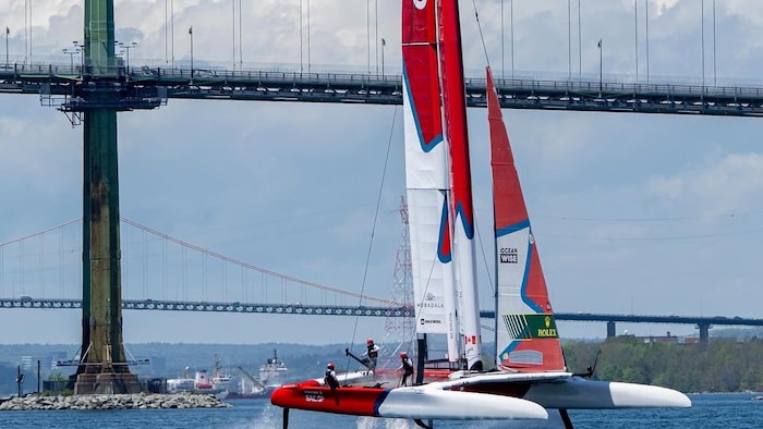 Halifax bat des records au SailGP avant même le début de la course ...