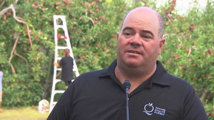 Les producteurs de pommes veulent adapter les vergers aux changements ...