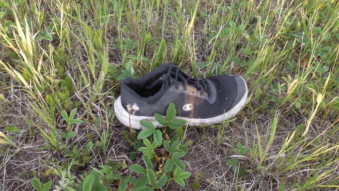 Deux témoins se contredisent au procès pour meurtre d’Eric Wildman ...