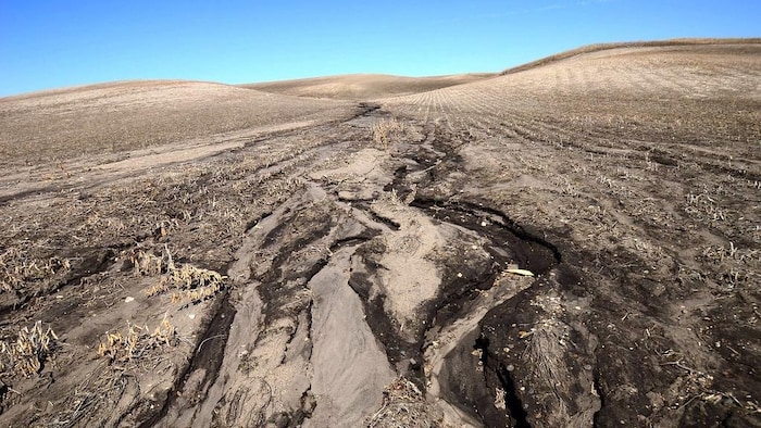 L'érosion des sols due aux activités humaines date de 4000 ans | Radio ...