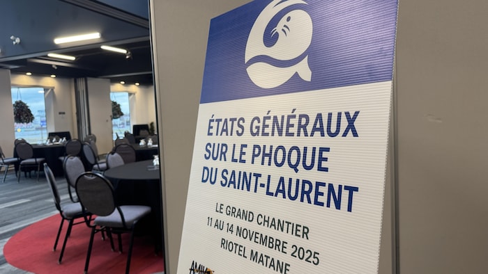 Chasse au phoque : une semaine pour se décider | Radio-Canada