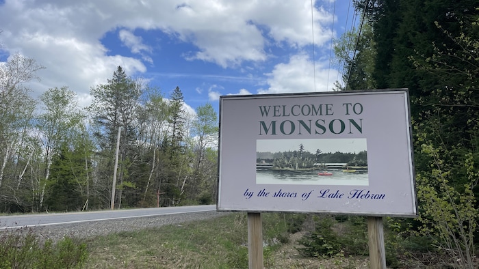 À la rencontre d’Isabelle St-Cyr : première femme transgenre à Miss ...