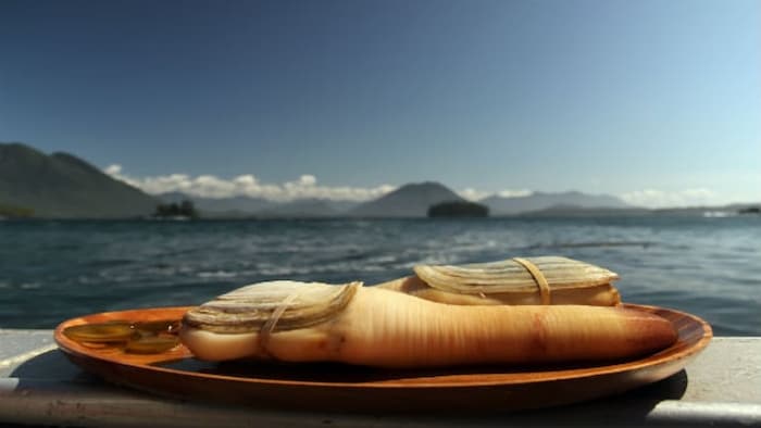 L’exportation de la palourde royale à la merci des tarifs chinois ...