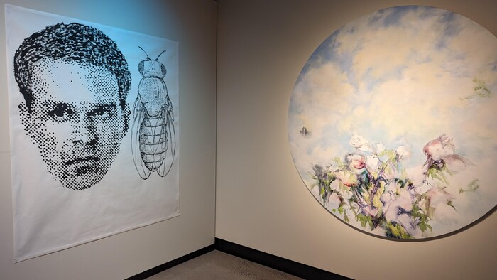 Dans l’univers de l’artiste visuel Paul-Édouard Bourque | Radio-Canada