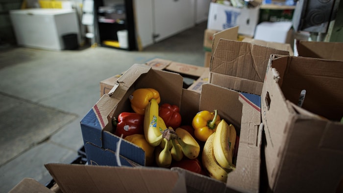Une banque alimentaire à Toronto fait l’objet d’une enquête de la ...