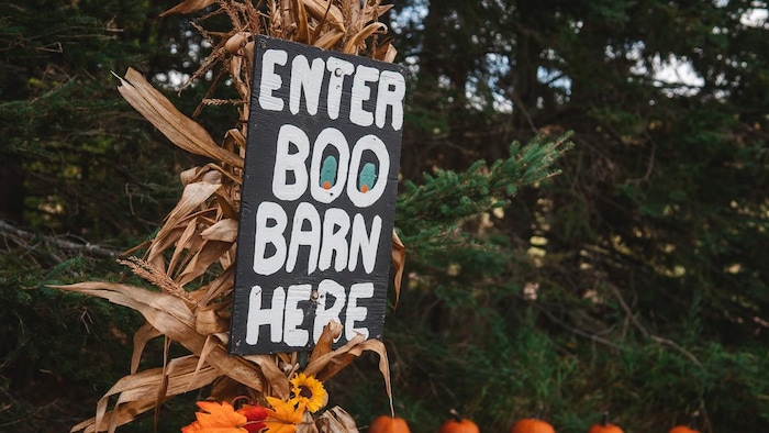 Une tradition d’Halloween s’éteint à la ferme Gammondale | Radio-Canada
