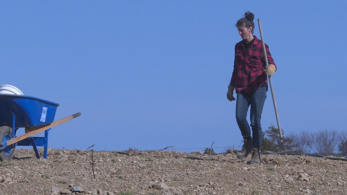 « Du travail et de la patience » : les nombreux défis d’une fermière à ...