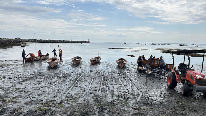 Le Festival des rameurs de Petit-Rocher, un « succès » pour la 56e ...