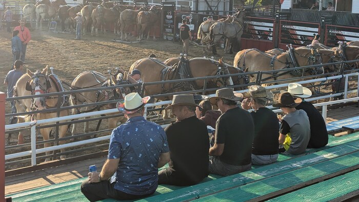 Festival western de Guigues : un bilan « plus que positif » | Radio-Canada