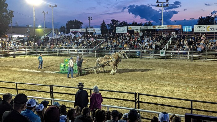 Festival western de Guigues : un bilan « plus que positif » | Radio-Canada