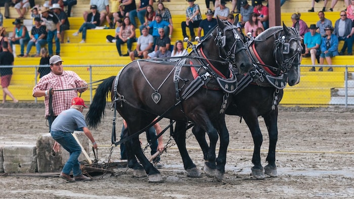 « Mission accomplie » pour le 38e Festival western de Saint-Quentin ...