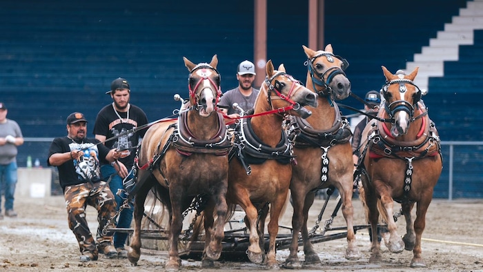 « Mission accomplie » pour le 38e Festival western de Saint-Quentin ...