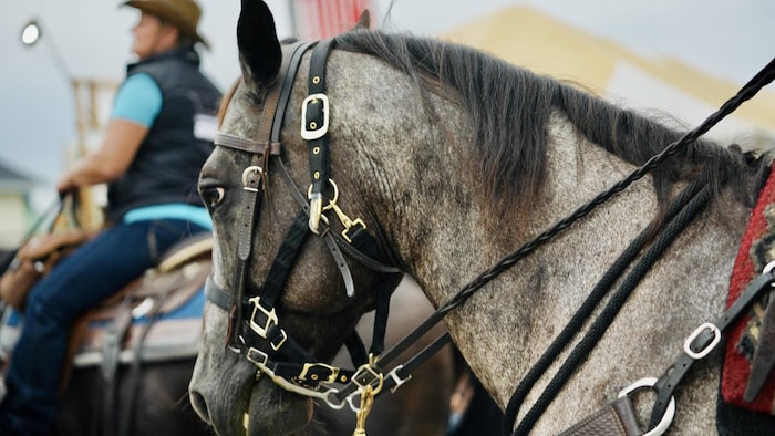 Le Festival western de Saint-Tite en images | Radio-Canada