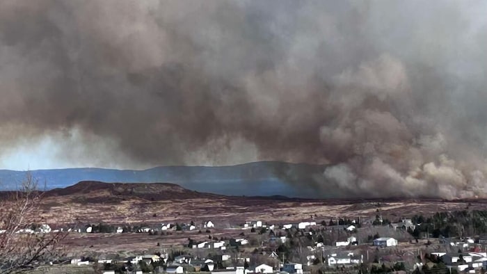 Des communautés de la péninsule d’Avalon évacuées à cause d’un feu de ...