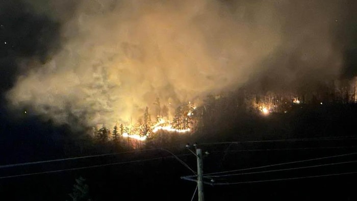 Le feu de forêt près de La Tuque atteint 8 hectares | Radio-Canada