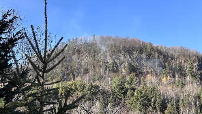 Le feu de forêt près de La Tuque atteint 8 hectares | Radio-Canada
