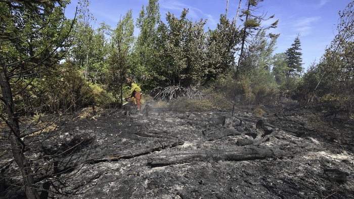 Le feu du lac Long s’étend à cause du vent, de nouvelles évacuations en ...