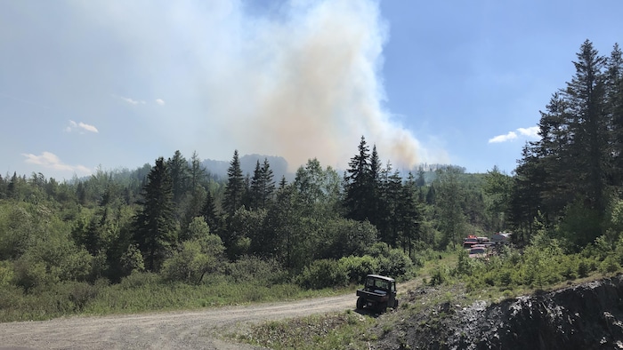 Le feu est maîtrisé près de Lac-Baker | Radio-Canada