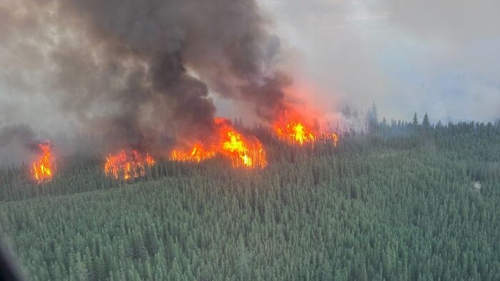 Un feu non maîtrisé dans la zone forestière de Lac La Biche | Radio-Canada
