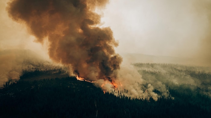 Le Canada traverse la pire saison des feux de forêt de son histoire ...