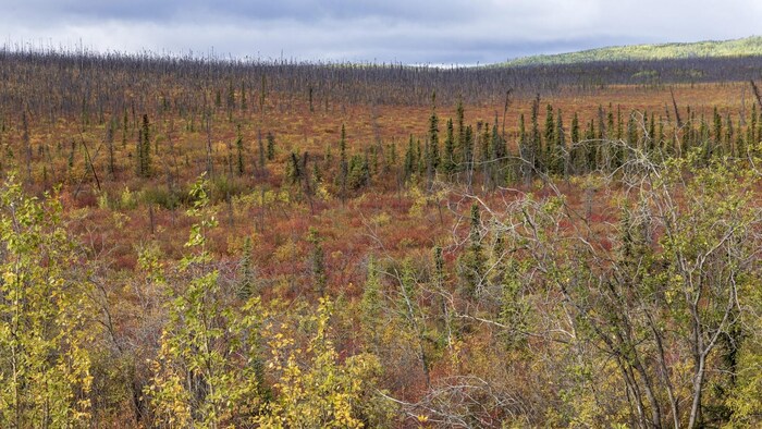 Des chercheurs cartographient les solutions pour sauver l’Arctique ...