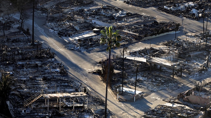 Dévastée par les incendies, Los Angeles espère une accalmie des vents | Radio-Canada