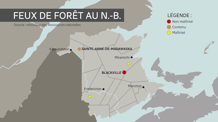 Un feu de forêt de 400 hectares au Nouveau-Brunswick | Radio-Canada