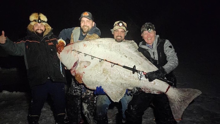 Le premier flétan atlantique de l’année a été capturé dans le fjord du ...