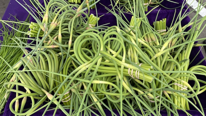 Cinq choses à savoir sur l'ail, ce bulbe millénaire | Radio-Canada