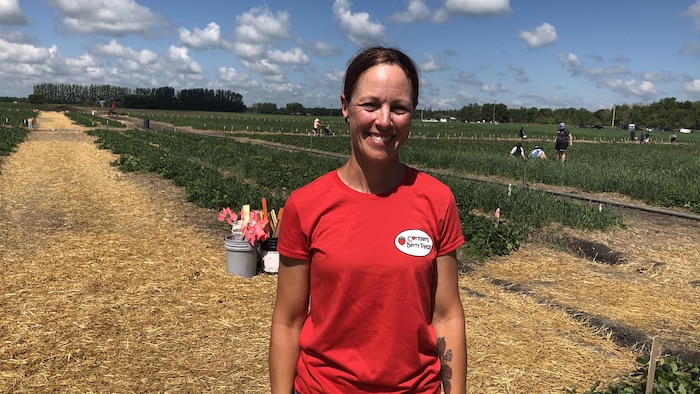 Pour le plaisir des gourmands, la récolte des fraises est abondante au ...