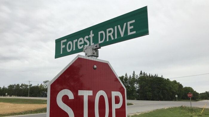 Une rue en l'honneur de Georges Forest | Radio-Canada