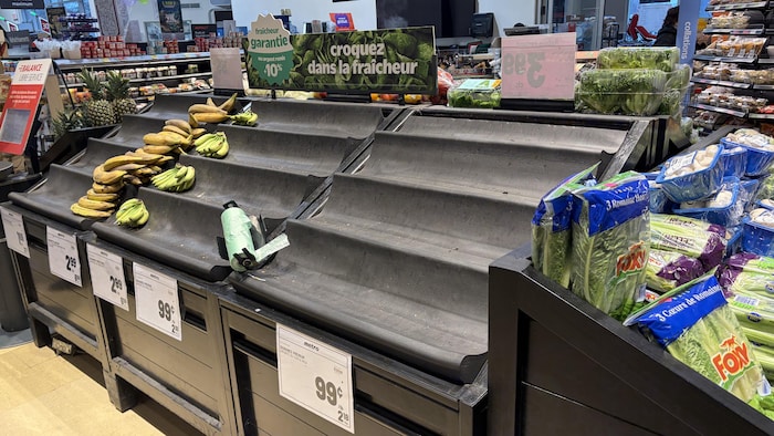Grève chez Metro : pénurie de fruits et légumes pour le congé de Pâques ...
