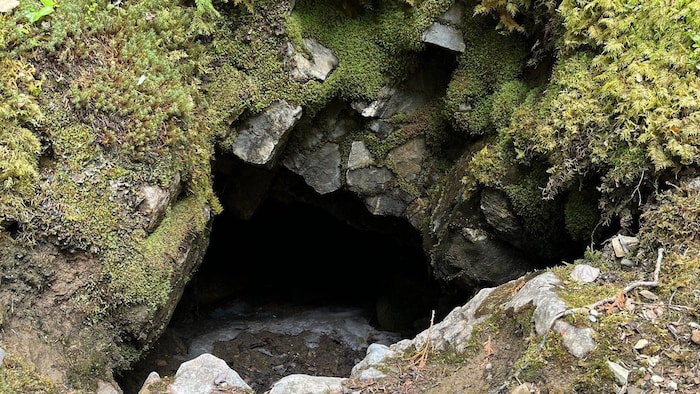 Une éclaircie pour le site de la grotte de Saint-Elzéar | Radio-Canada