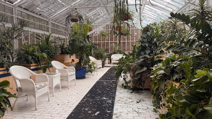 Une tempête cause des dégâts sans précédent en plus de 30 ans à la ...