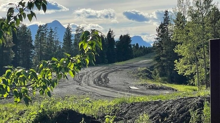 La Cour fédérale ordonne un réexamen du projet minier de Benga Mining ...