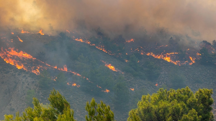 8 choses à comprendre sur les feux de forêt | Radio-Canada