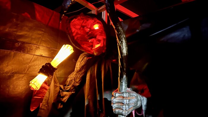 Depuis 22 ans, ce salon de toilettage se transforme en maison hantée ...