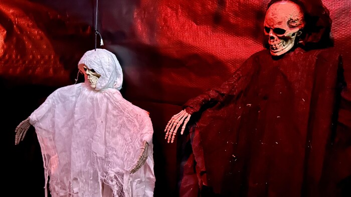 Depuis 22 ans, ce salon de toilettage se transforme en maison hantée ...