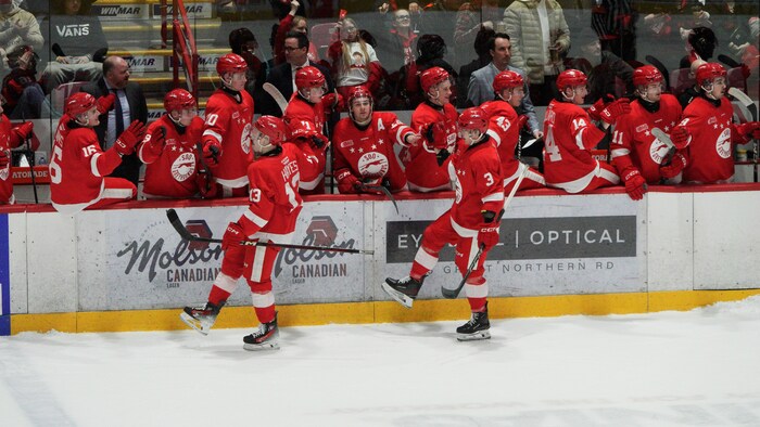 Les Greyhounds de Sault-Sainte-Marie muselés par les Spitfires | Radio-Canada