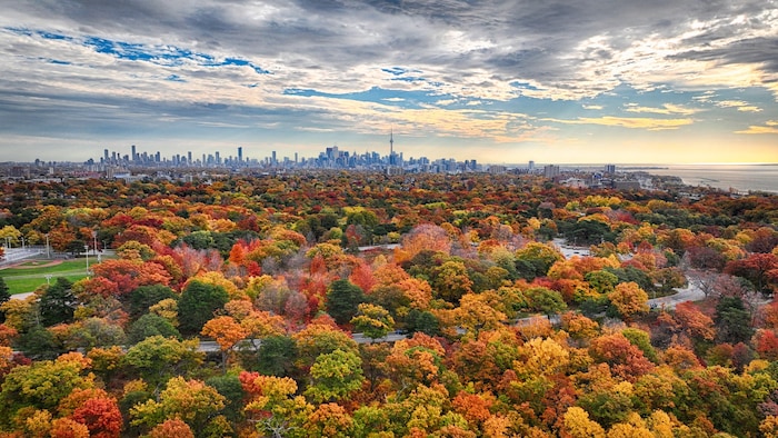 Une circonscription au nom autochtone au cœur de Toronto | Radio-Canada