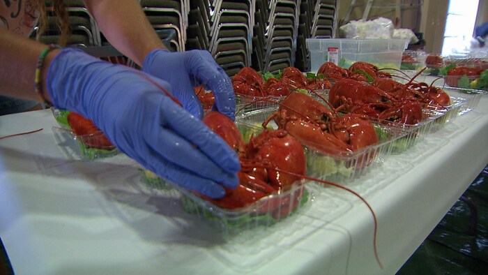 Coup d’envoi pour le 73e Festival du homard de Shediac | Radio-Canada