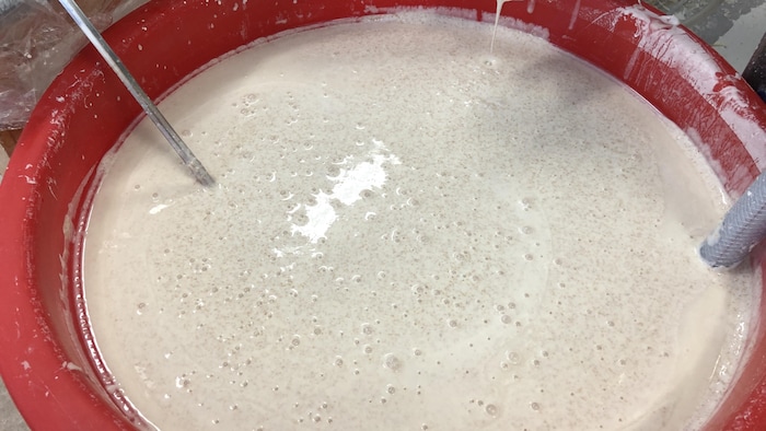 Les Carmélites de Dolbeau-Mistassini, dernières productrices d’hosties ...