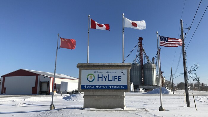 Vente de HyLife : retour sur 25 ans d'expansion | Radio-Canada