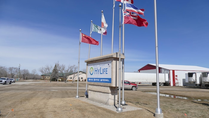 Malgré le déménagement du siège social, la société HyLife demeurera ...