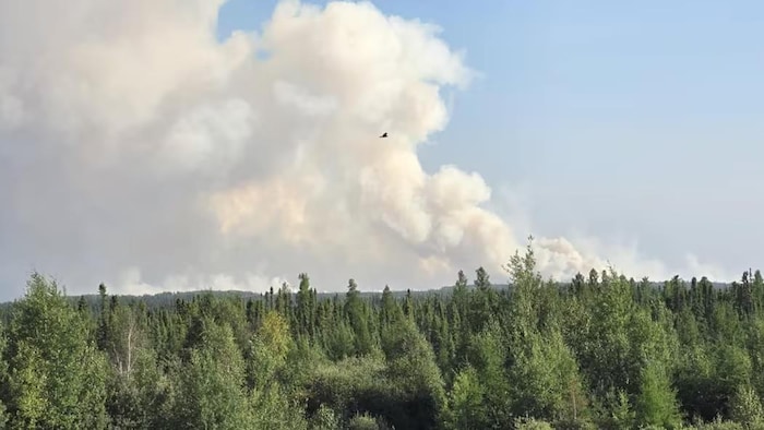 La panique gagne la Nation crie de Bunibonibee face à la menace d’un ...