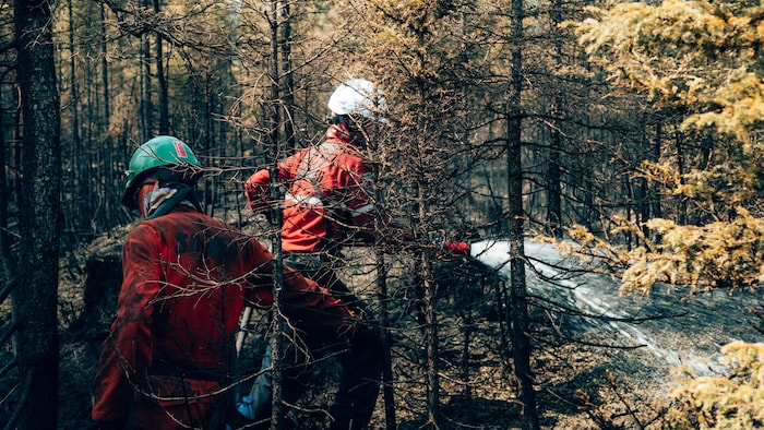 Des feux de forêt reprennent de la vigueur au Québec et des évacuations ...