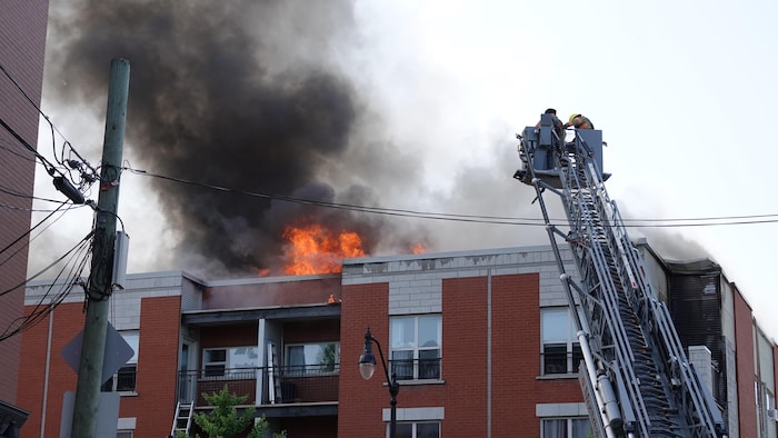 Incendie majeur dans Le Sud-Ouest : plus de 150 pompiers dépêchés ...