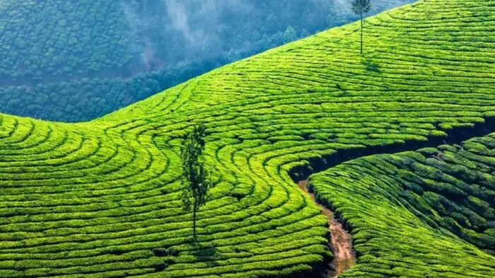 L’expérience d’une famille québécoise en Inde racontée dans un livre ...